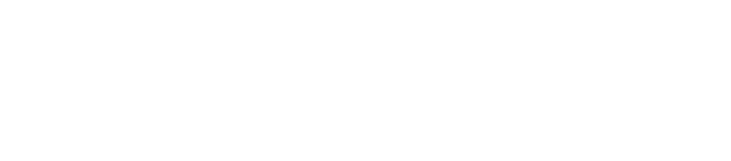 Vortex
